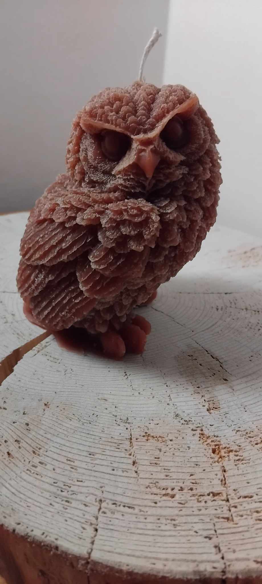 Sova velká - www.pulkulicka.cz